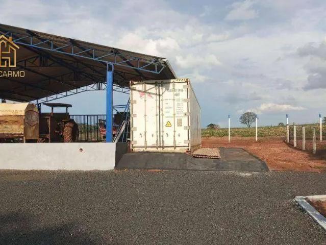 Sítio / Chácara para Venda em Monte Aprazível/SP Zona Rural