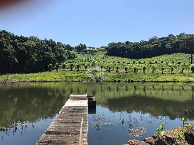Sítio / Chácara para Venda em Monte Belo do Sul/RS Zona Rural