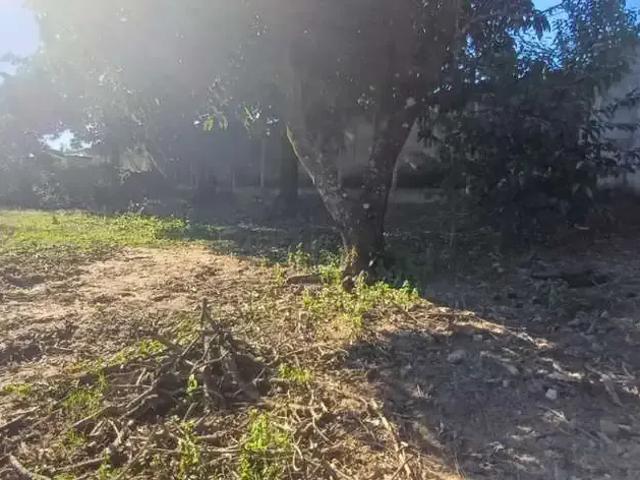 Sítio / Chácara para Venda em Monte Mor/SP Centro