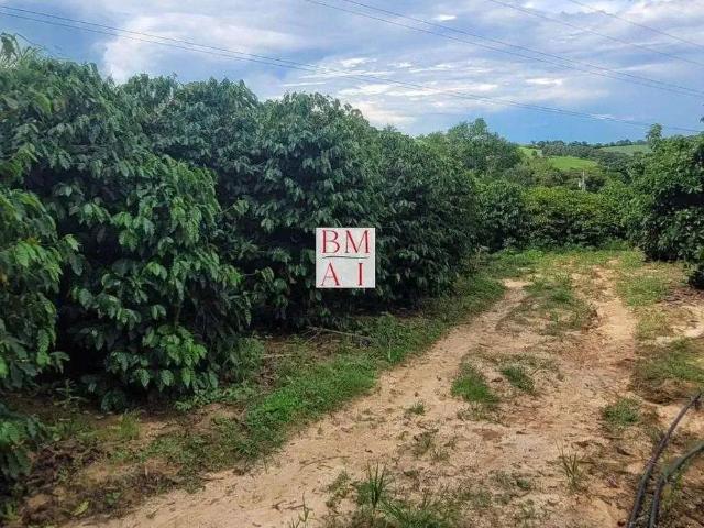 Sítio / Chácara para Venda em Monte Mor/SP Centro 2 Quartos