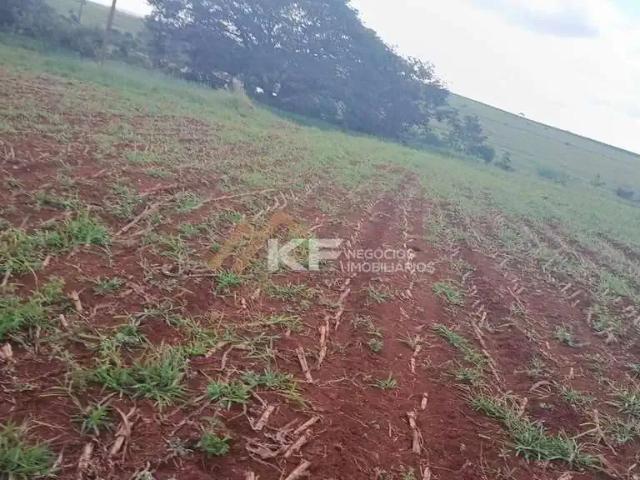 Sítio / Chácara para Venda em Monte Santo de Minas/MG Centro 1 Quartos