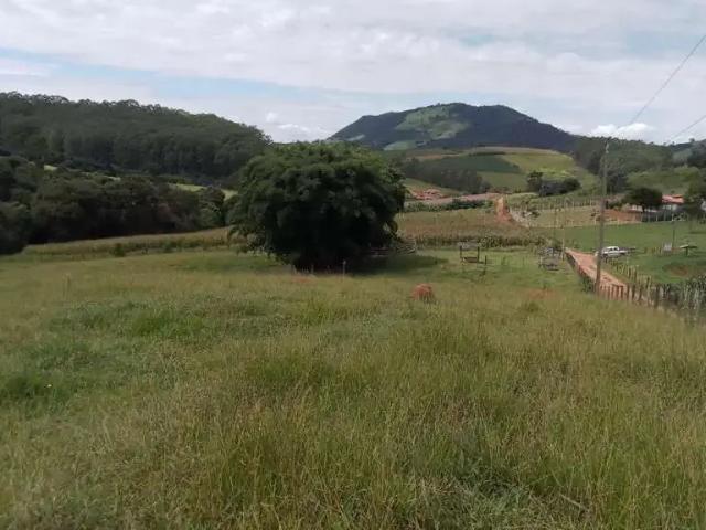 Sítio / Chácara para Venda em Monte Sião/MG Mococa