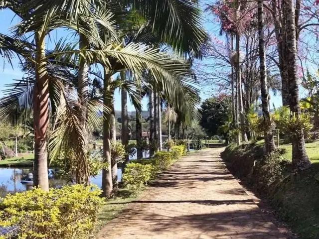 Sítio / Chácara para Venda em Monte Sião/MG Centro 2 Quartos