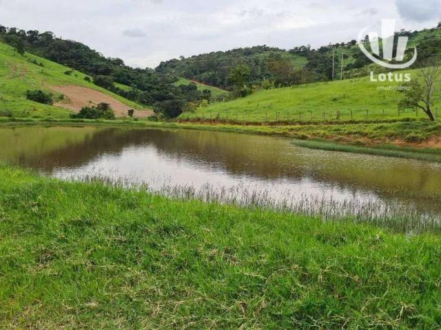 Sítio / Chácara para Venda em Monte Sião/MG Zona Rural