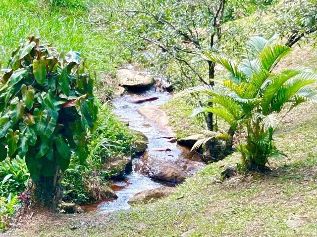 Sítio / Chácara para Venda em Monteiro Lobato/SP Centro
