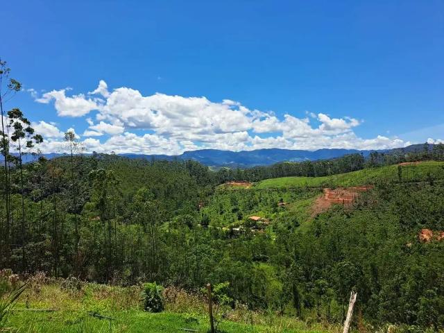 Sítio / Chácara para Venda em Monteiro Lobato/SP Centro