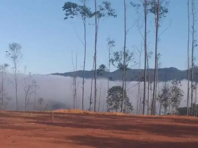 Sítio / Chácara para Venda em Monteiro Lobato/SP Ponte Nova