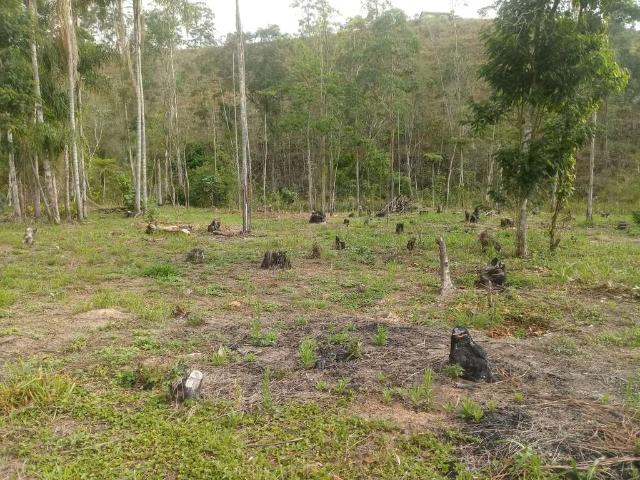 Sítio / Chácara para Venda em Monteiro Lobato/SP Ponte Nova 1 Quartos