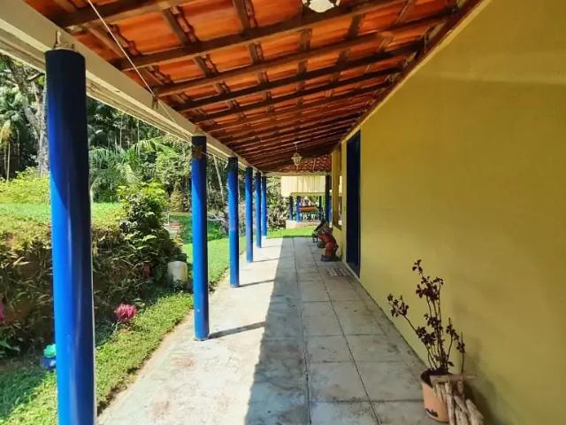 Sítio / Chácara para Venda em Monteiro Lobato/SP Picapau Amarelo 5 Quartos