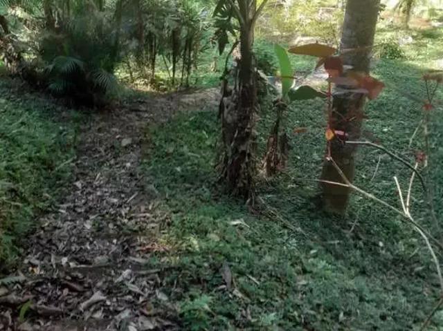 Sítio / Chácara para Venda em Monteiro Lobato/SP Zona Rural 4 Quartos