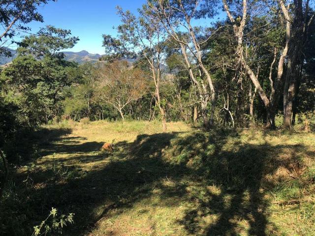 Sítio / Chácara para Venda em Monteiro Lobato/SP Zona Rural