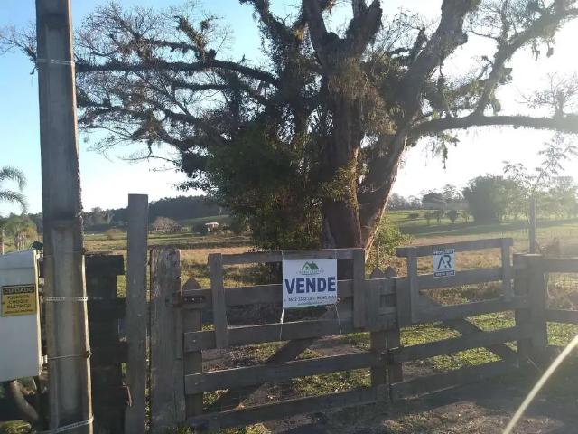 Sítio / Chácara para Venda em Montenegro/RS Costa da Serra