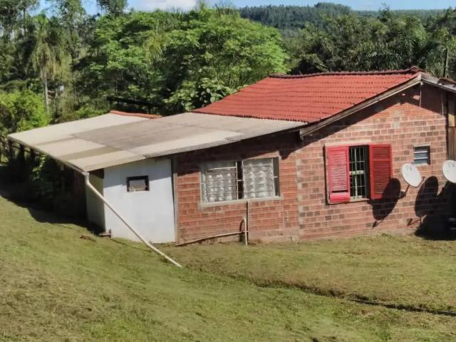 Sítio / Chácara para Venda em Montenegro/RS Zona Rural 2 Quartos