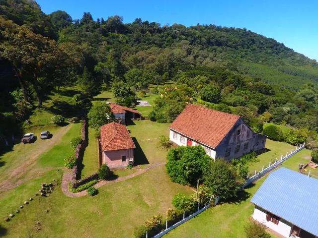 Sítio / Chácara para Venda em Morro Reuter/RS Centro 3 Quartos