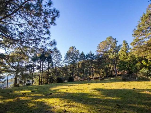 Sítio / Chácara para Venda em Morro Reuter/RS Centro 3 Quartos