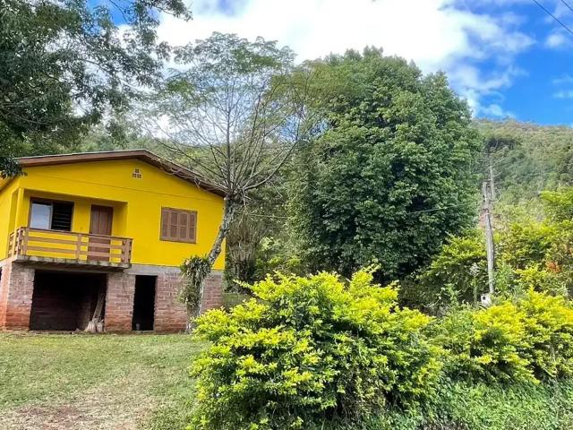 Sítio / Chácara para Venda em Morro Reuter/RS Linha Cristo Rei 2 Quartos