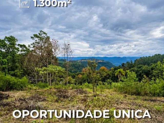 Sítio / Chácara para Venda em Morro Reuter/RS Linha Cristo Rei 1 Quartos