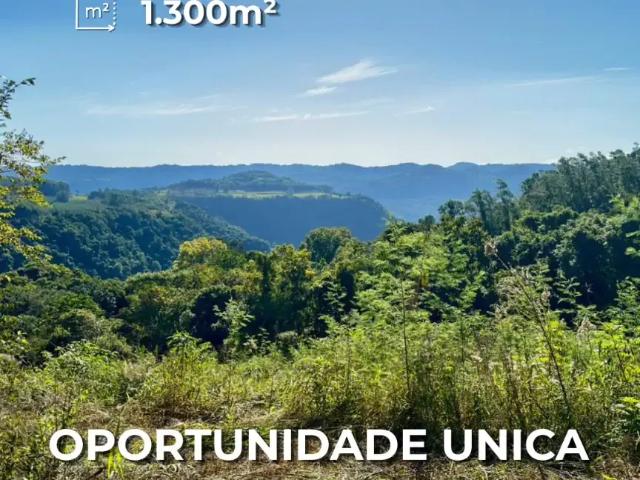 Sítio / Chácara para Venda em Morro Reuter/RS Linha Cristo Rei 1 Quartos