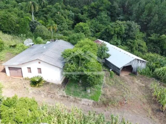 Sítio / Chácara para Venda em Morro Reuter/RS Linha Cristo Rei 3 Quartos
