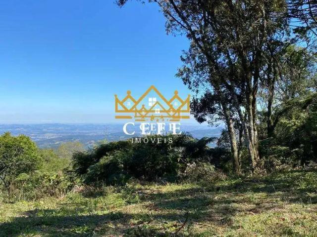 Sítio / Chácara para Venda em Morro Reuter/RS Mato Comprido