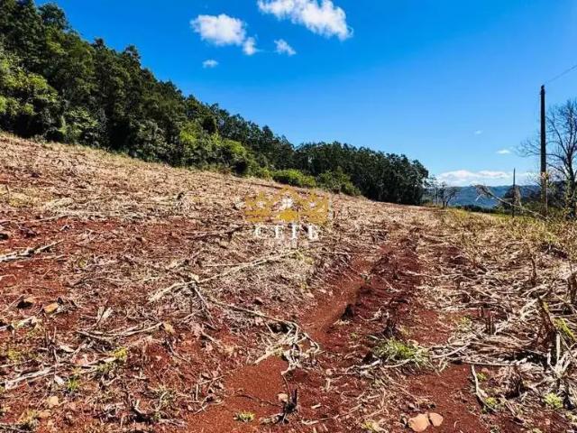 Sítio / Chácara para Venda em Morro Reuter/RS Zona Rural