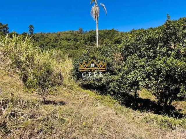 Sítio / Chácara para Venda em Morro Reuter/RS Zona Rural