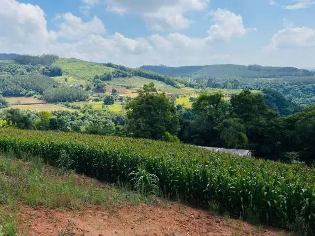 Sítio / Chácara para Venda em Morro Reuter/RS Zona Rural 2 Quartos