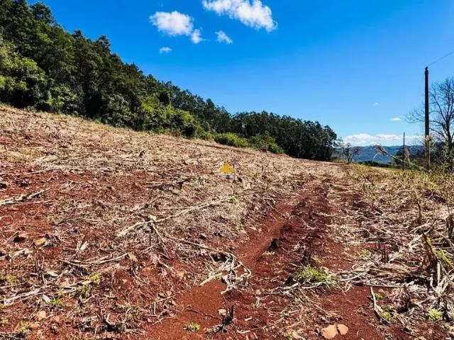 Sítio / Chácara para Venda em Morro Reuter/RS Zona Rural