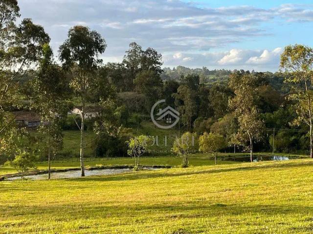 Sítio / Chácara para Venda em Morro Redondo/RS Zona Rural 4 Quartos