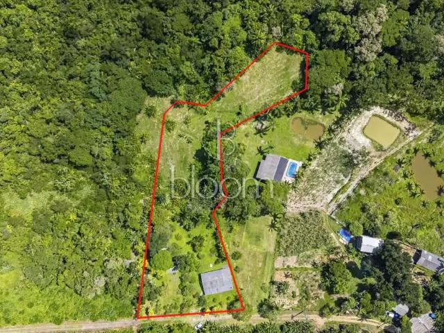 Sítio / Chácara para Venda em Morretes/PR Vila Itaperuçu