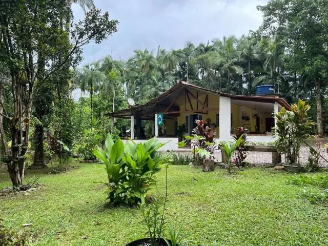 Sítio / Chácara para Venda em Morretes/PR Zona Rural