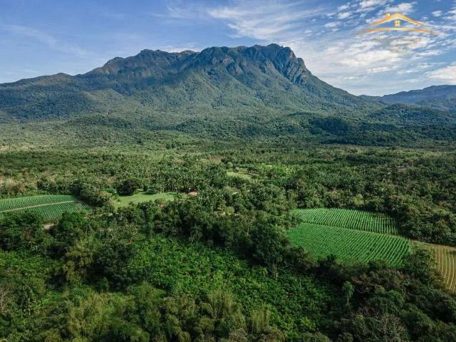 Sítio / Chácara para Venda em Morretes/PR Zona Rural 1 Quartos
