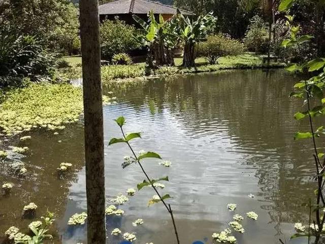 Sítio / Chácara para Venda em Morretes/PR Zona Rural 1 Quartos