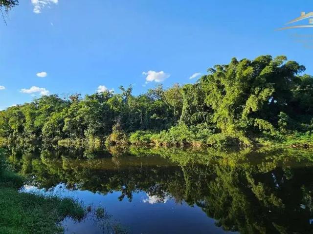Sítio / Chácara para Venda em Morretes/PR Zona Rural 1 Quartos