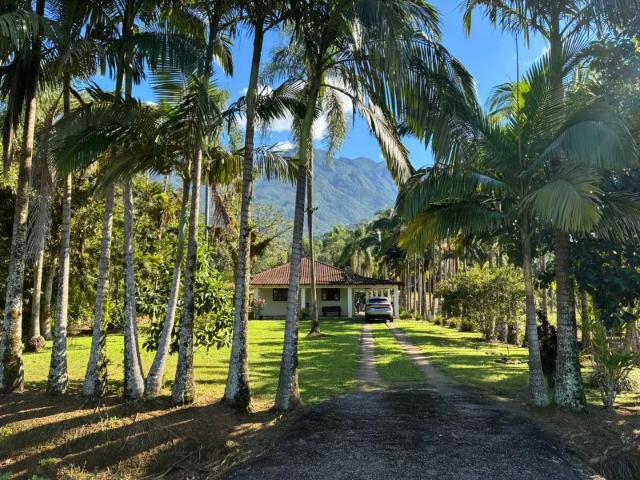 Sítio / Chácara para Venda em Morretes/PR Zona Rural 3 Quartos