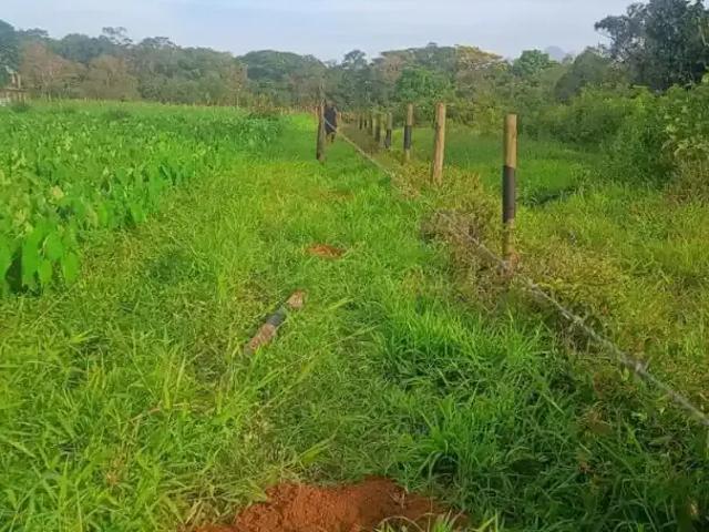 Sítio / Chácara para Venda em Morretes/PR Zona Rural