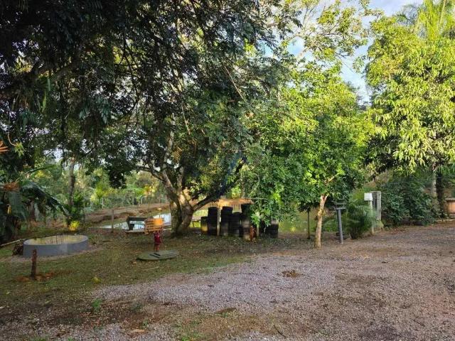 Sítio / Chácara para Venda em Morretes/PR Zona Rural 4 Quartos
