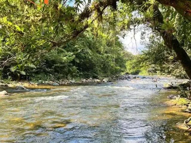 Sítio / Chácara para Venda em Morretes/PR Zona Rural