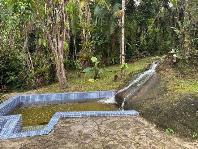 Sítio / Chácara para Venda em Morretes/PR América de Cima 3 Quartos