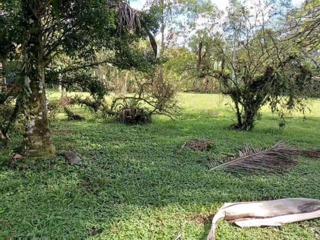 Sítio / Chácara para Venda em Morretes/PR Centro