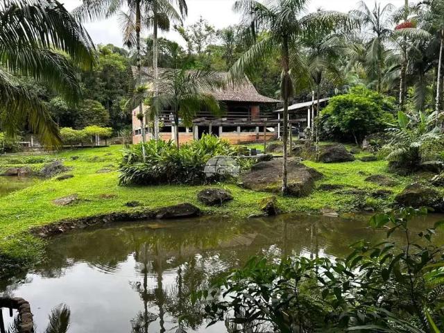 Sítio / Chácara para Venda em Morretes/PR Rio Sagrado 5 Quartos