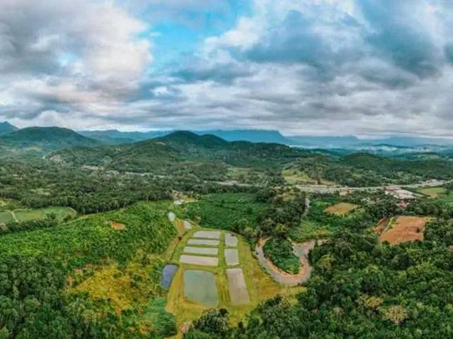 Sítio / Chácara para Venda em Morretes/PR Rio Sagrado