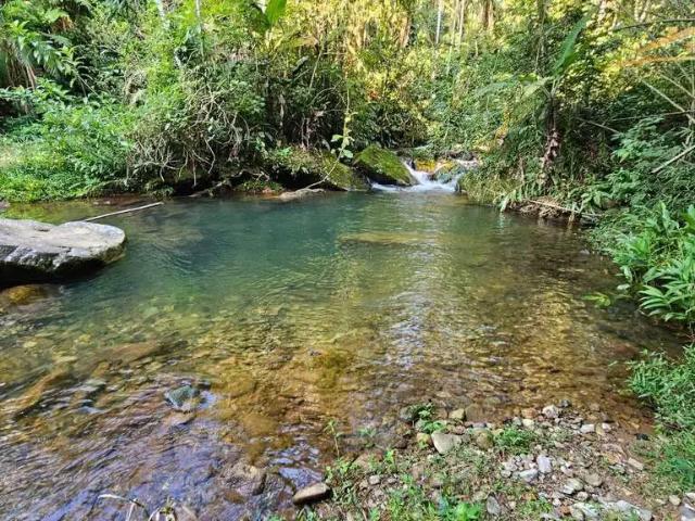 Sítio / Chácara para Venda em Morretes/PR Rio Sagrado 2 Quartos