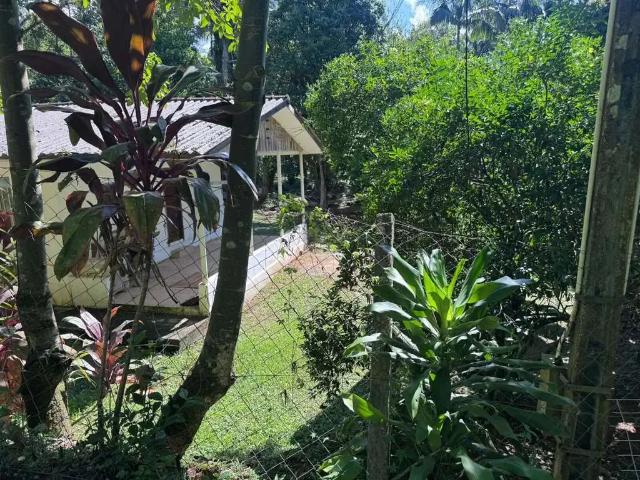 Sítio / Chácara para Venda em Morretes/PR Rio Sagrado 3 Quartos