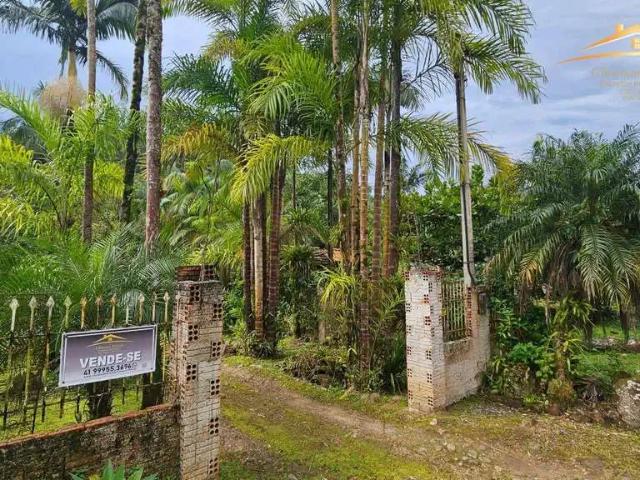 Sítio / Chácara para Venda em Morretes/PR São João da Graciosa 3 Quartos