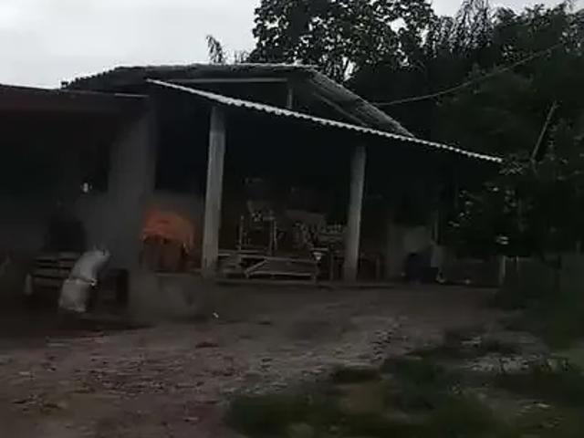 Sítio / Chácara para Venda em Mata de São João/BA Açu da Torre 2 Quartos
