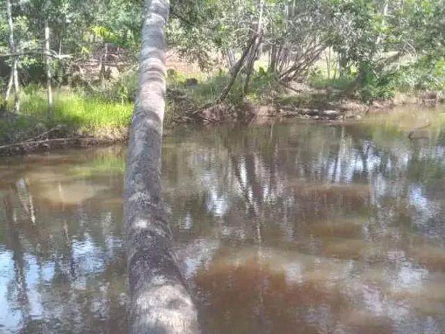 Sítio / Chácara para Venda em Mata de São João/BA Açu da Torre