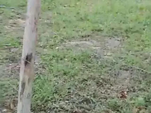 Sítio / Chácara para Venda em Mata de São João/BA Imbassai 2 Quartos