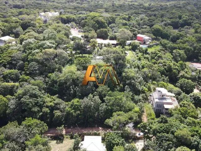 Sítio / Chácara para Venda em Mata de São João/BA Praia do Forte 1 Quartos