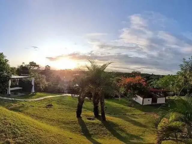 Sítio / Chácara para Venda em Mata de São João/BA Praia do Forte 5 Quartos